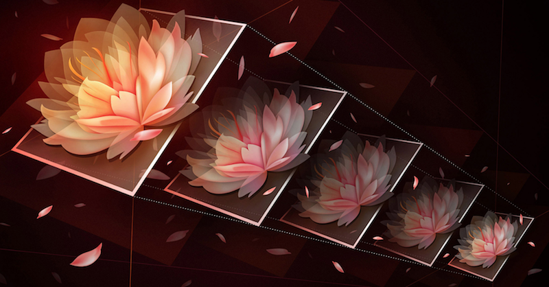 Resize Images In Laravel With Spatie Media Library